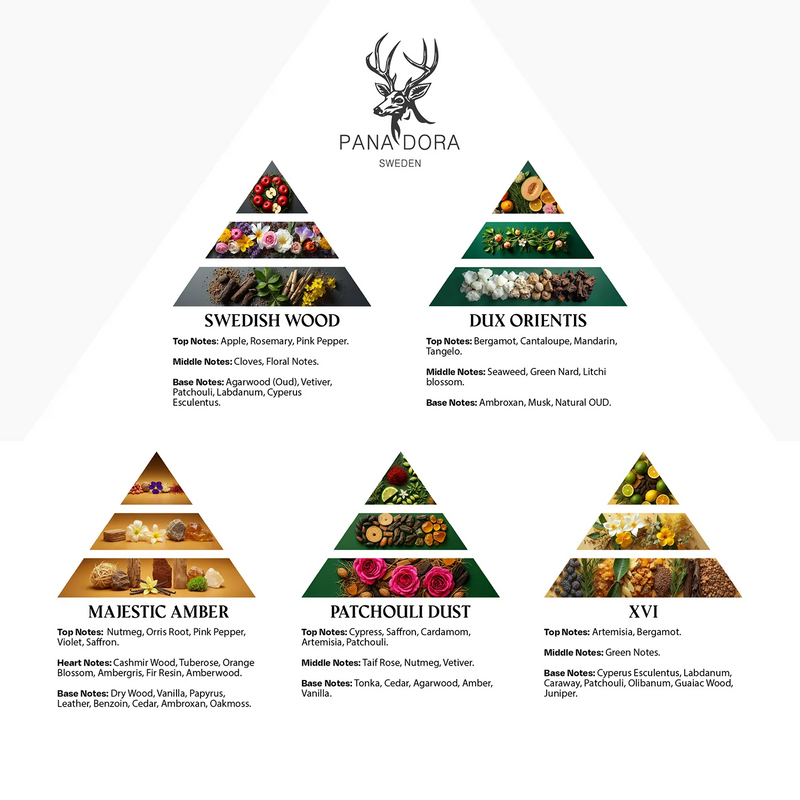 Black - Travel Set 2026 – US Marc Gebauer